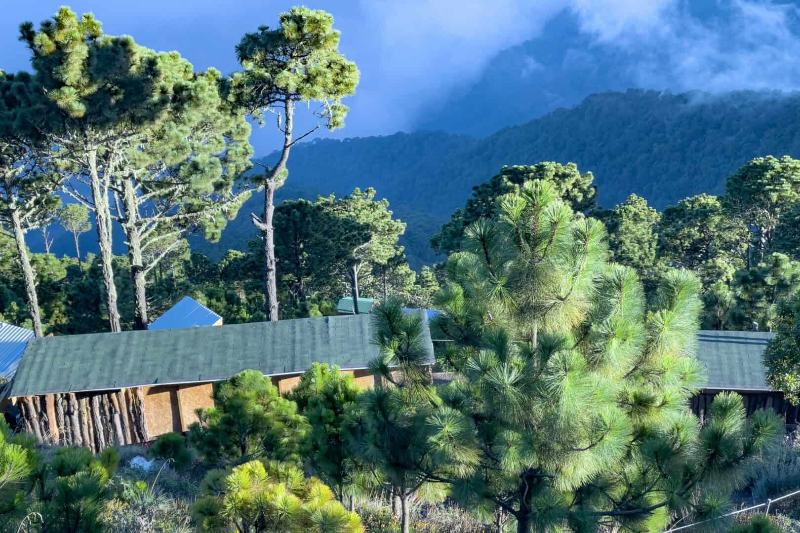 Dry Season vs. Wet Season: Best Season for Hiking a Volcano