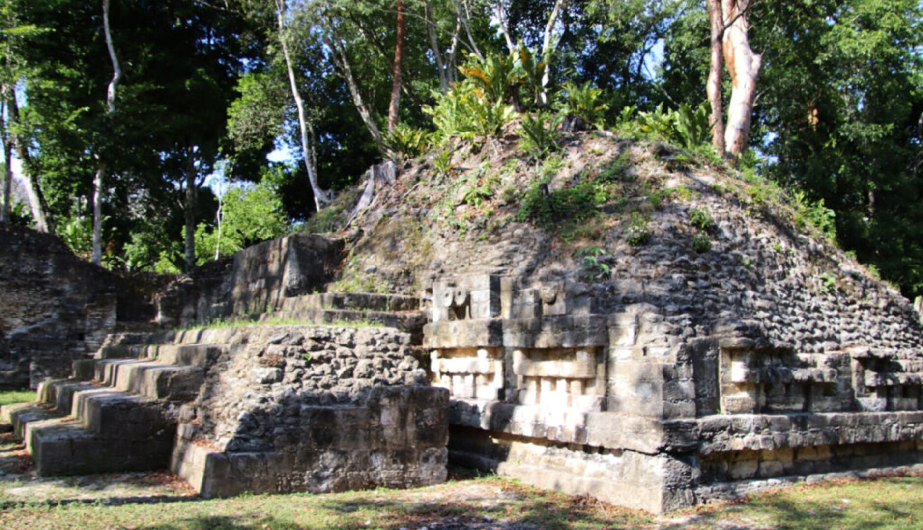 La Danta Pyramid: The Largest Pyramid in Guatemala’s El Mirador