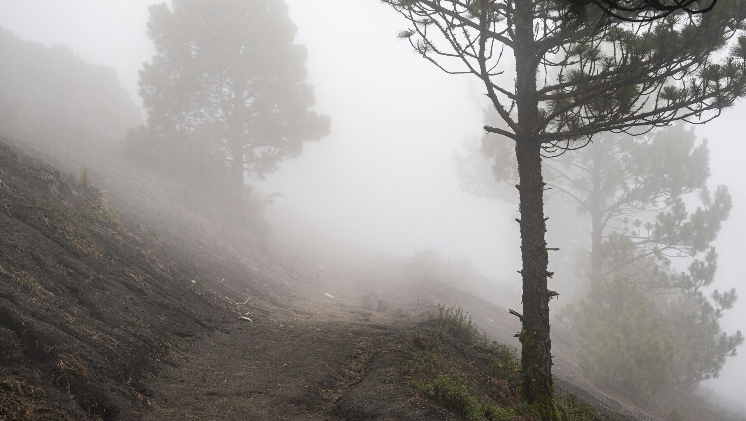 Acatenango Hike Distance: How Long It Takes & Why It Feels Hard